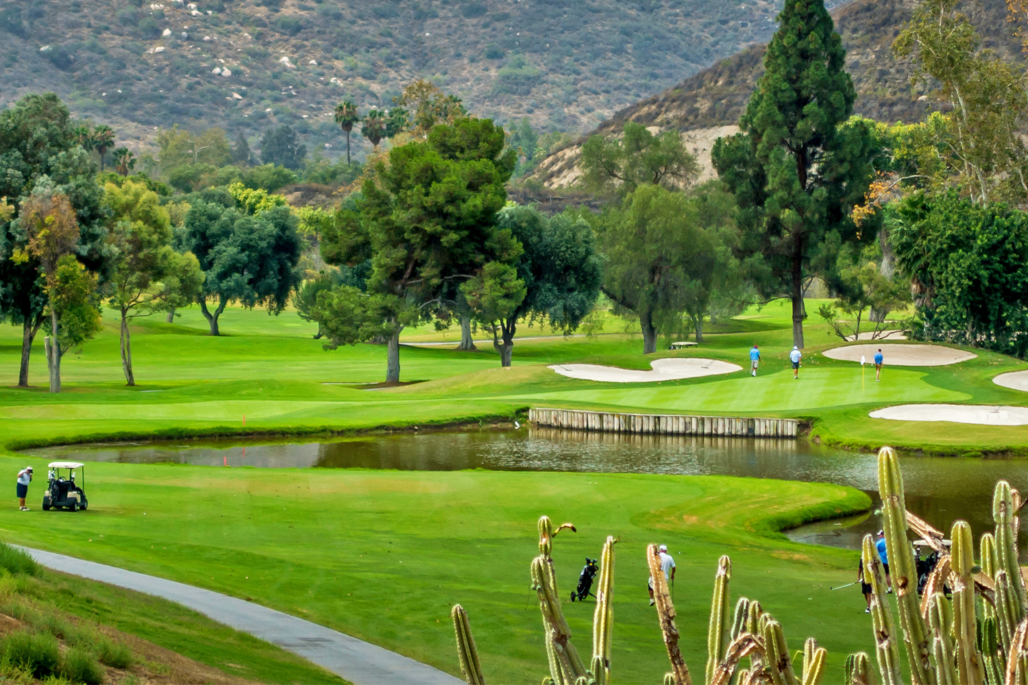 San Diego's Finest: A Guide to the Best Golf Courses